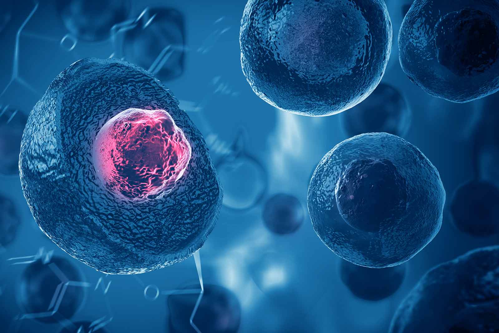 Αναγεννητική Ιατρική Χόνδρου - Ρομποτική Χειρουργική